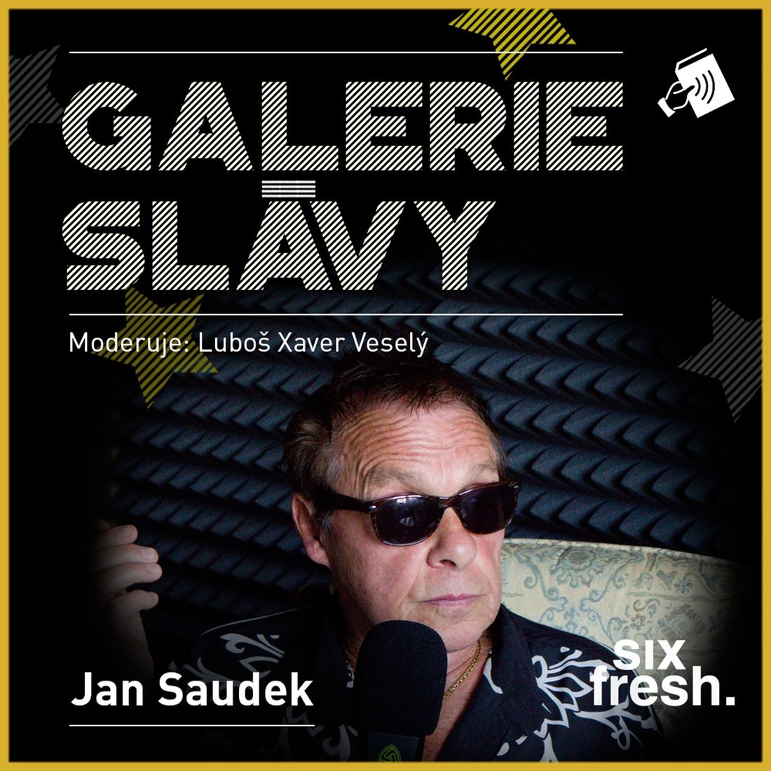 Galerie slávy - Jan Saudek audiokniha | Levneknihy.cz
